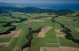 La vida en los bosques… fragmentados